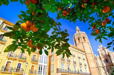 Learn Spanish in Valencia - Centrum voor levende talen